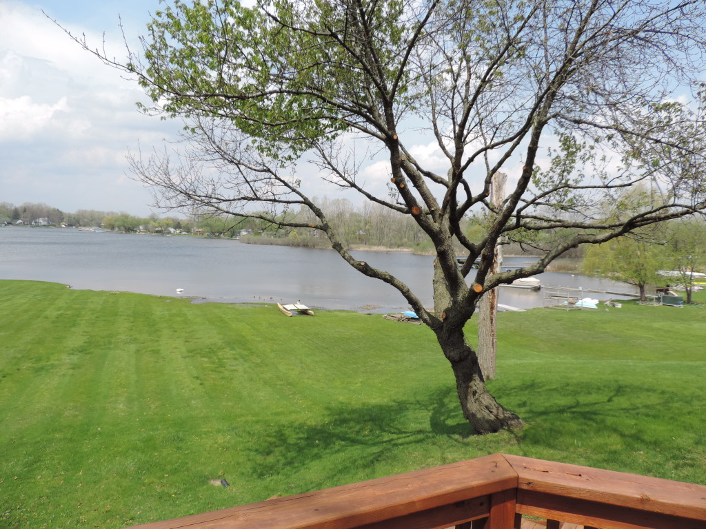 Beautiful Lakefront Home for sale in Commerce Michigan - Detroit ...